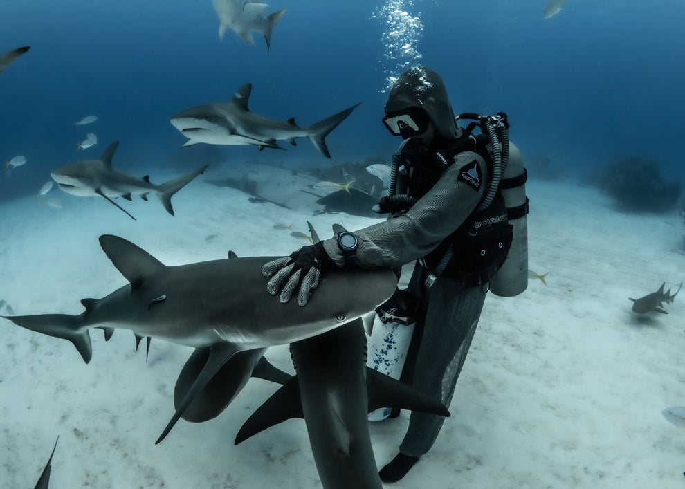 Neptunic Sharksuits and Apparel